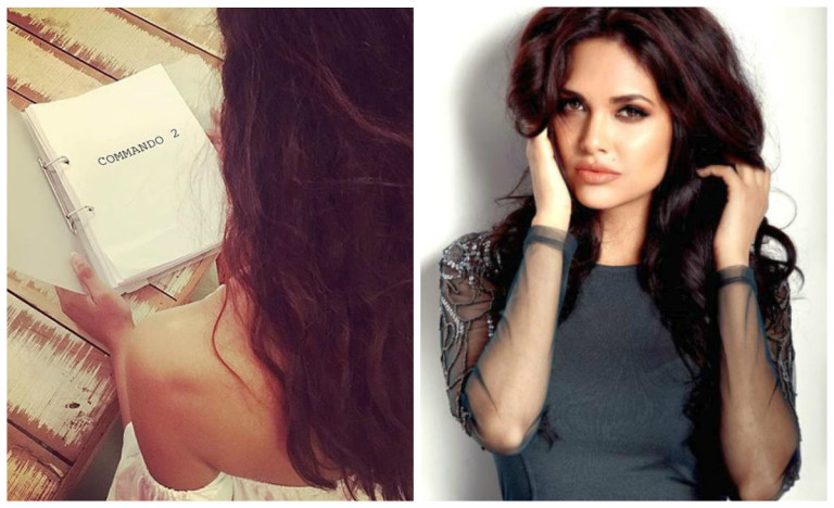 Commando News | Latest Updates & Gossip | Bollywood Bubble