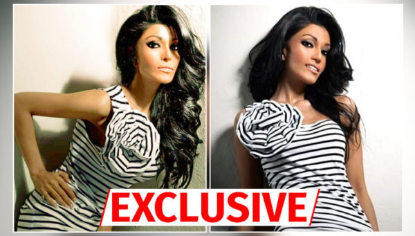 Koena Mitra News | Latest Updates & Gossip | Bollywood Bubble