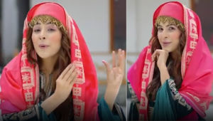 Shehnaaz Gill performing to the Bumbro song in Kashmir will make you ...