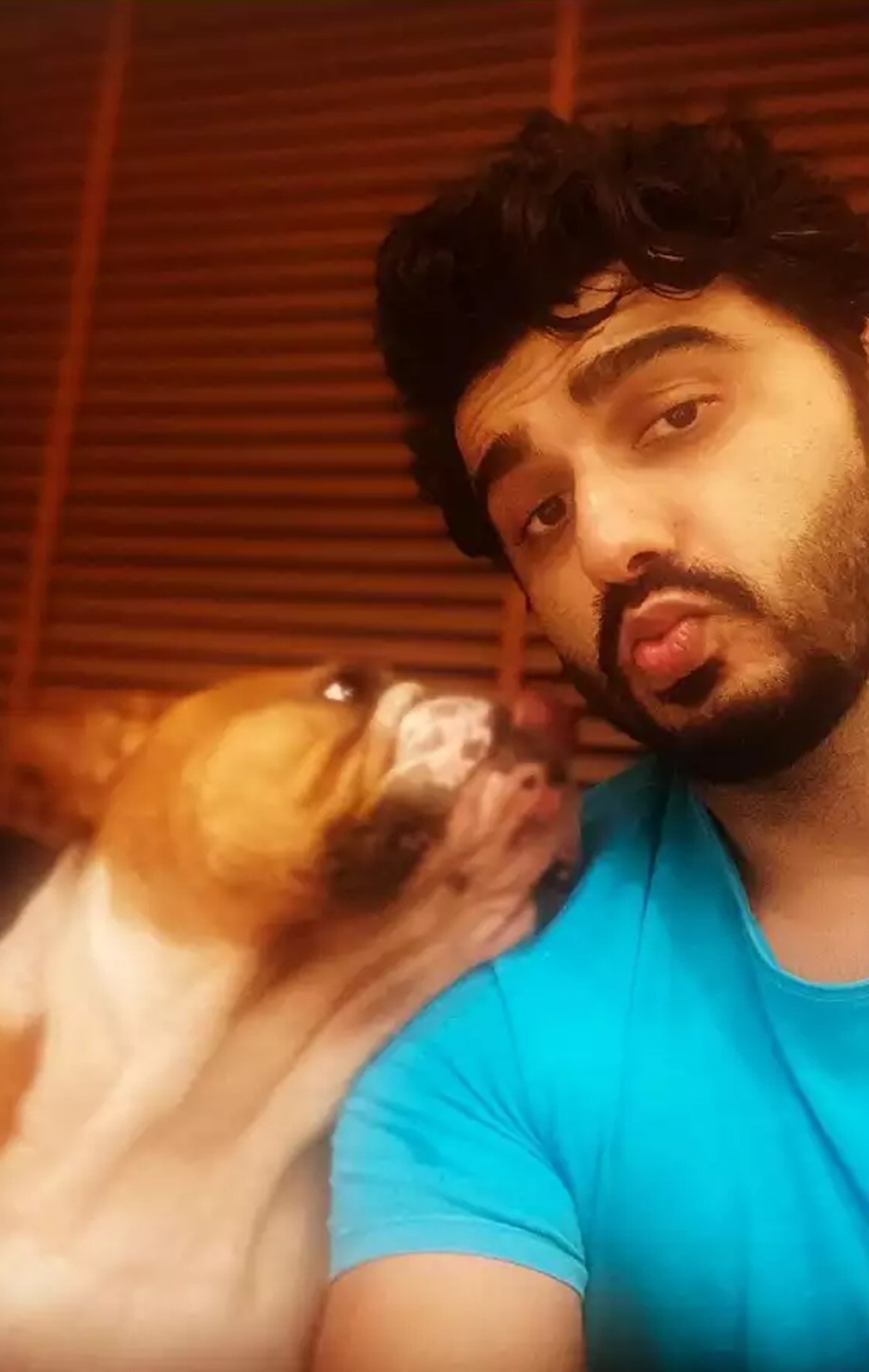 International Dog Day: Varun Dhawan to Kriti Sanon, 11 Bollywood celebs ...