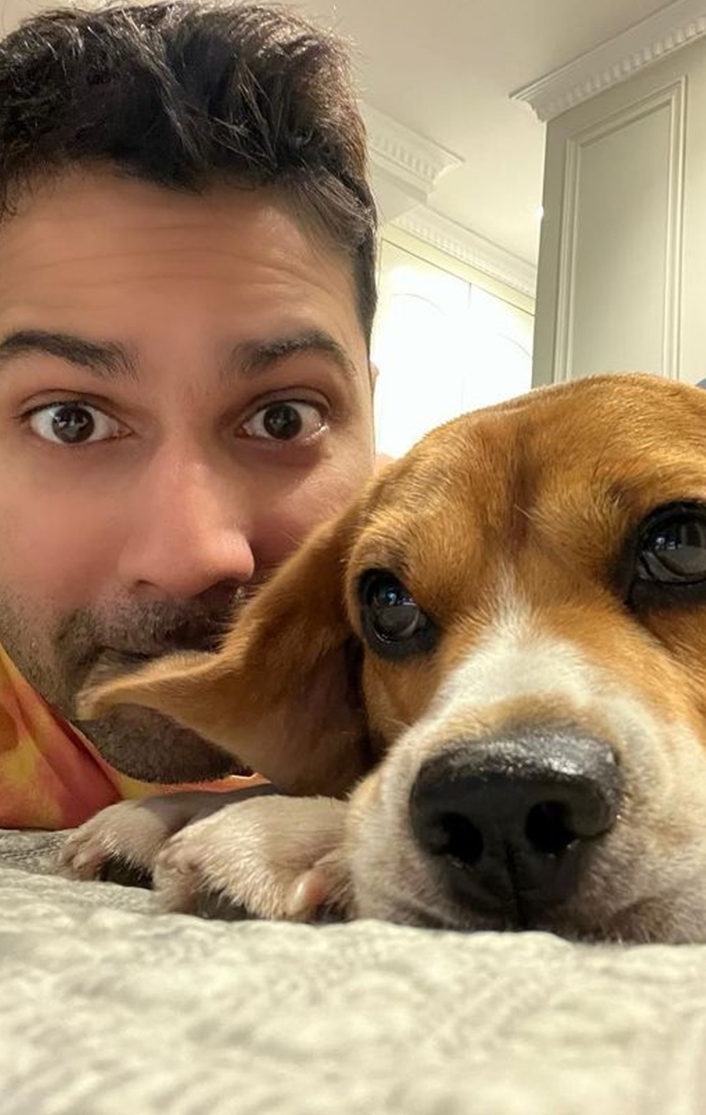 International Dog Day: Varun Dhawan to Kriti Sanon, 11 Bollywood celebs ...