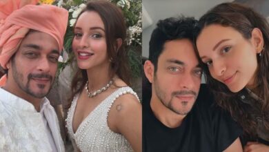 Tripti Dimri vacations with rumoured beau Sam Merchant