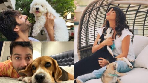 International Dog Day: Meet the pawsome pairs of Bollywood