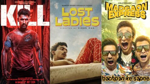 Best Of 2024: 9 Bollywood films that impressed even the critics