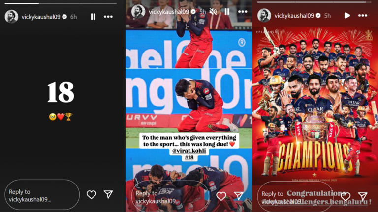 RCB Wins IPL 2025: Ranveer Singh, Vicky Kaushal, Aamir Khan And Other ...